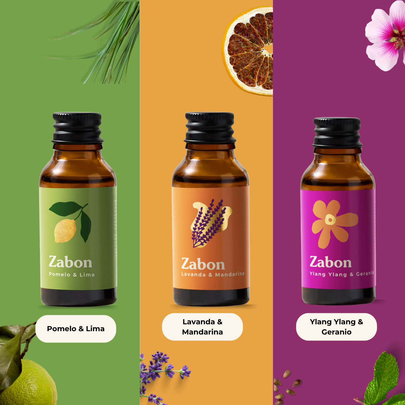 Limpieza Ecológica y Natural | Sin Químicos y Fácil de Usar – Zabon