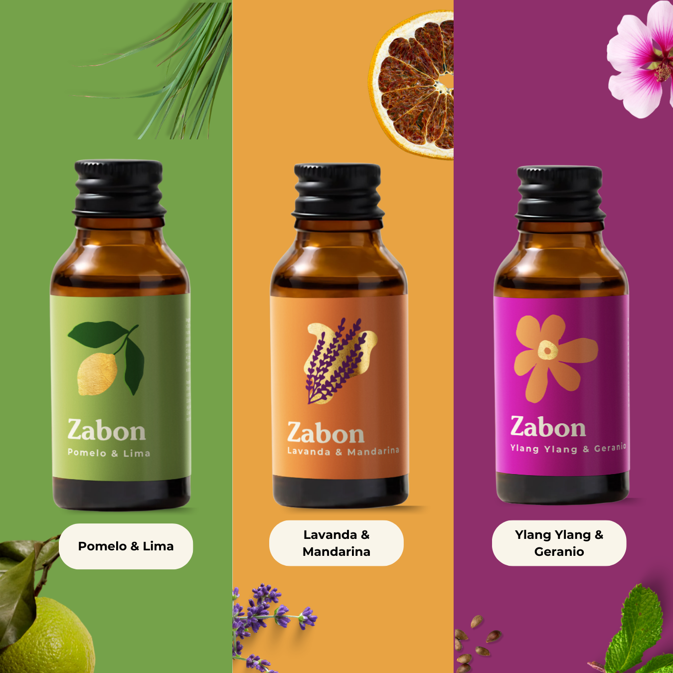 Limpieza Ecológica y Natural | Sin Químicos y Fácil de Usar – Zabon