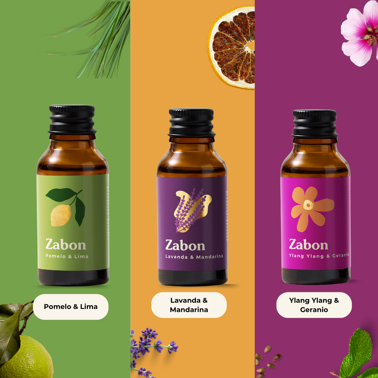 Limpieza Ecológica y Natural | Sin Químicos y Fácil de Usar – Zabon